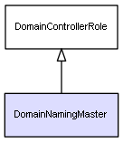 CI Class DomainNamingMaster