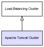 CI Class Apache Tomcat Cluster